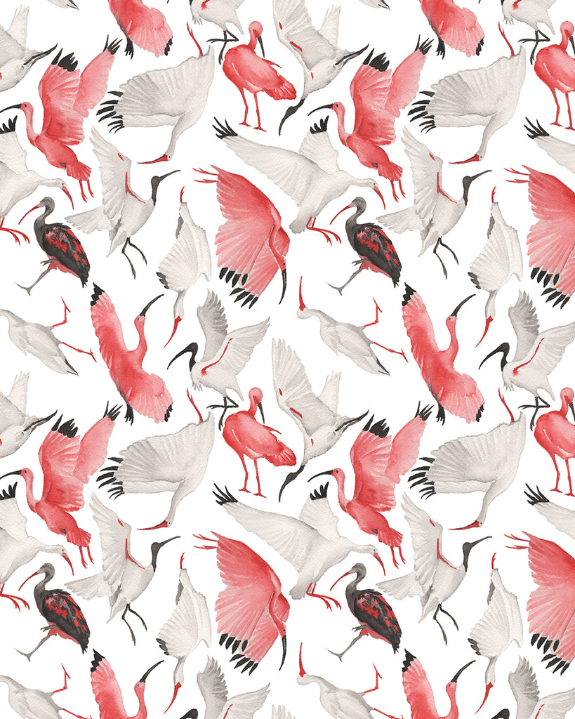 Scarlet and White Ibises Wallpaper | Wall Treatments | Annie Moran